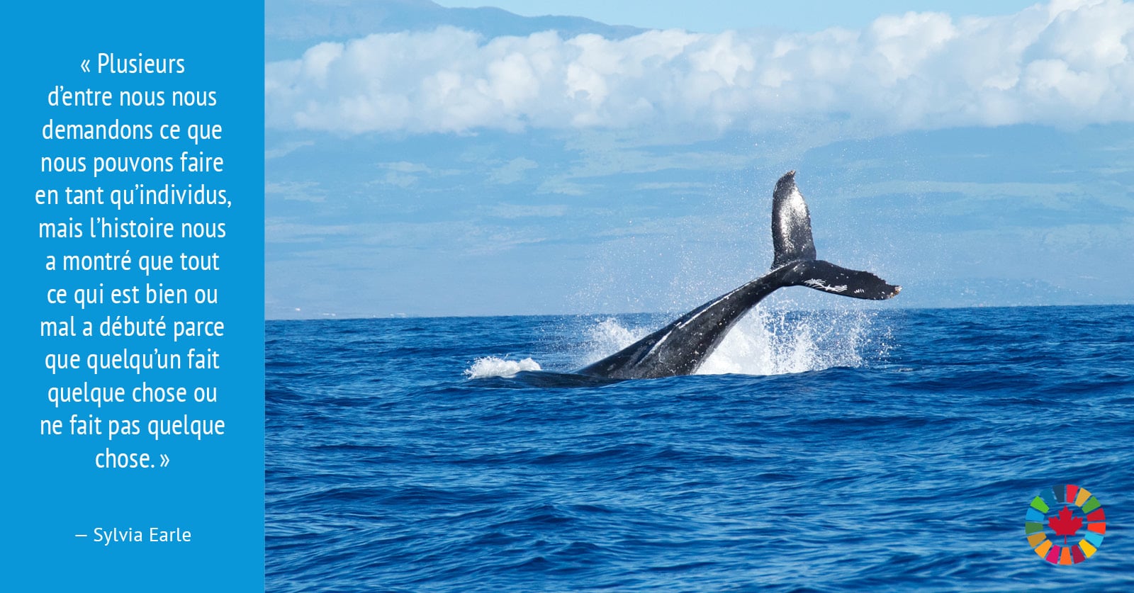 Vie aquatique - ISF Canada